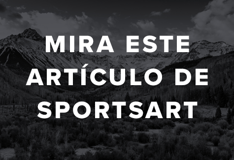 Artciluoi SportsArt - SportsArt